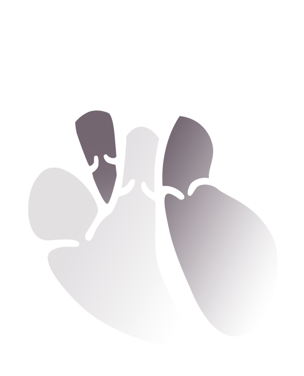 Our Approach - Cardior