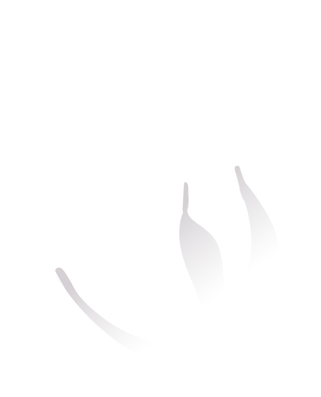 Our Approach - Cardior