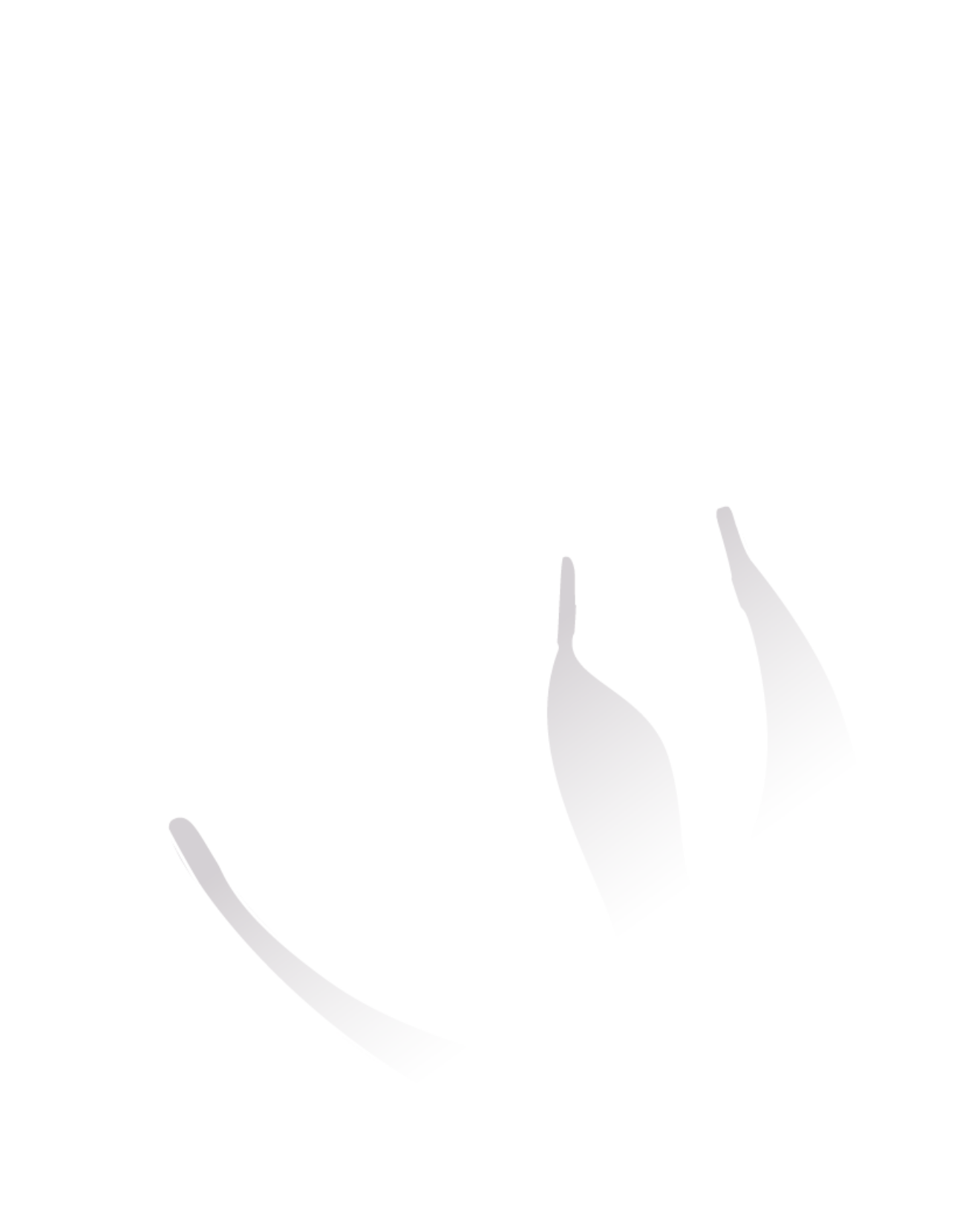 Our Approach - Cardior