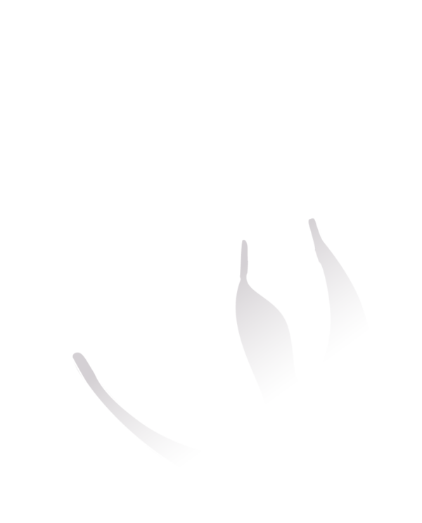 Our Approach - Cardior