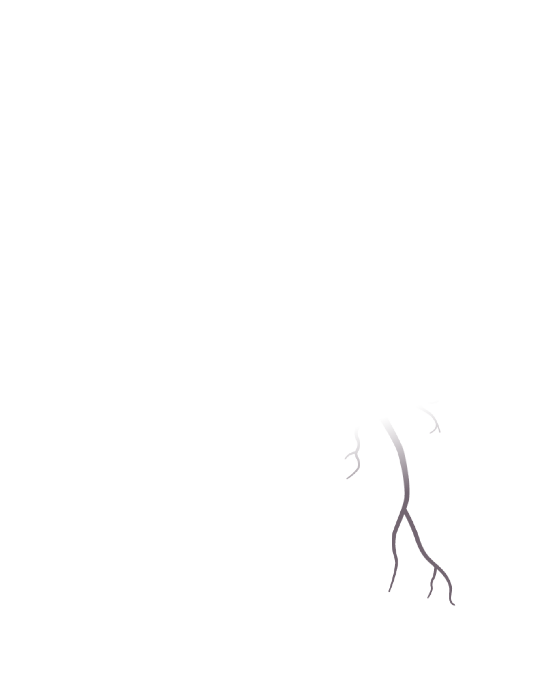 Our Approach - Cardior